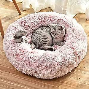 LQUOXH Long Plush Fluffy Pet Dog Bed Claming Dog Beds Round Cat Dog Bench Soft Warm Kennel Large Mat Pet (Color : Black, Size : 50CM)