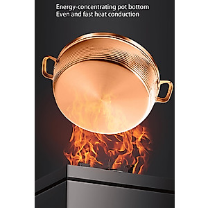 304 Stainless Steel Moroccan Tagine Pot,Non Stick Tagine Stainless Steel Tower Stew Dry Pot Non-stick Slow Cooker Seafood High Lid Pan Electromagnetic Cooker Moroccan Tajine Casserole,Gold,20cm(Gold,2