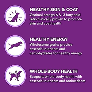 Iams Advanced Health Skin & Coat Chicken and Salmon Recipe Adult Dry Dog Food, 27 lb. Bag