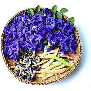 100 Butterfly Pea Flower Seeds - HOA Dau Biec - Blue Butterfly Pea Vine Seeds (Clitoria Ternatea) Asian Pigeonwings -Tropical Vine Plant Seeds- Edible Flower Seeds