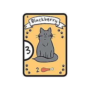 AEG Cat Lady Board Game | Collect Toys and Rescue Cats | Family Card Drafting Game for 2-4 Players | Ages 10+ | Easy to Learn & Plays in 30 Minutes