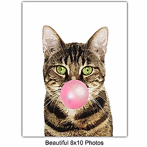 Black Cat, Gray Cat, Tabby Cat Wall Decor - Cat Lover Gifts for Women - Cute Kitten, Kitty Bubble Gum Wall Art - Room Decoration for Girls Bedroom, Kids Room, Living Room, Nursery - 8x10 Poster Set