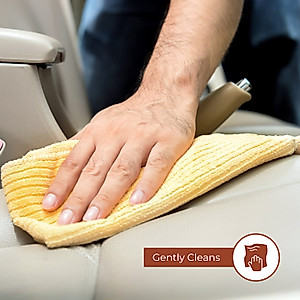 Astonish Specialist Furniture and Carpet Cleaner Bundle - Includes Carpet, Chair and Upholstery Deep Cleaning Fabric Spray (750ml) & Leather Conditioning Cream for Leather Goods and Furniture (250ml)