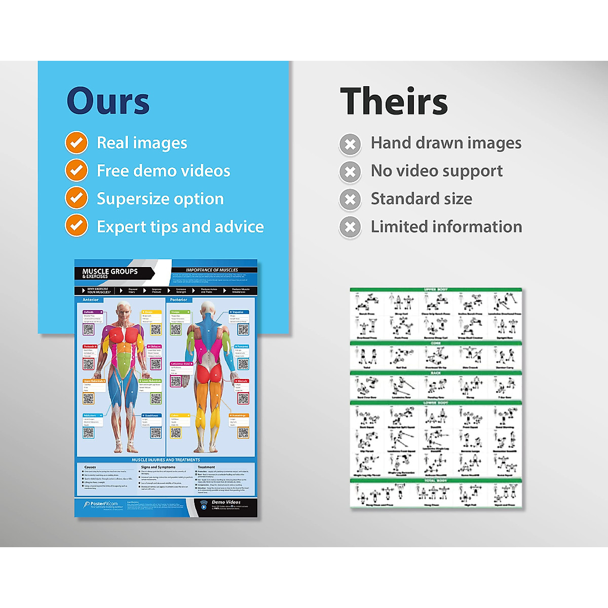 Gym Workout Posters - Set of 7 - Laminated - EXTRA LARGE 33" X 23.5" - Exercise Posters - Gym or Home Workout Charts - Includes Video Training Support