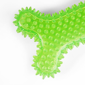 Leaps & Bounds Spiny Bone Assorted Medium Chew Toy for Dogs