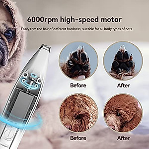 PAWBBY Dog Paw Trimmer, Dog Clippers, Cordless Cat and Small Dogs Clipper, Low Noise Electric Mini Pet Grooming Clippers for Trimming The Hair Around Face, Paw Pads, Eyes, Ears, Rump