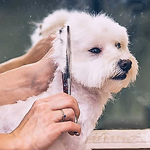 Gimars 6 in 1 Professional 4CR Stainless Steel Grooming Scissors for Dogs with Safety Round Tip, Heavy Duty Titanium Coated Pet Grooming Scissor for Dogs, Cats and Other Animals