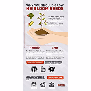 100 Assorted Heirloom Vegetable Seeds 100% Non-GMO (100, Deluxe Assorted Vegetable Seeds)