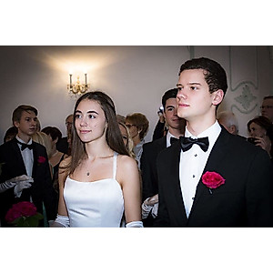 Alizeal Men's Pre-Tied Adjustable Length Solid Color Tuxedo Party Bow Tie, Champagne