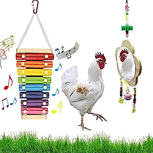 Viowey 2PCS Chicken Xylophone Toys, Chicken Mirror, Chicken Pecking Toy, Suspensible Wood Xylophone Toy with 8 Metal Keys for Hens Parrots