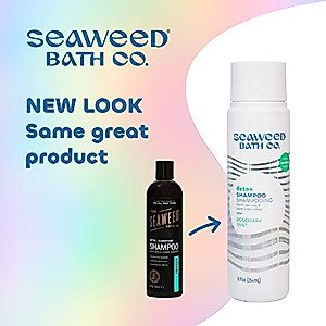 Seaweed Bath Co. Detox Shampoo, Rosemary Mint Scent, 12 Ounce, Sustainably Harvested Seaweed, French Sea Clay, Apple Cider Vinegar, For All Hair Types