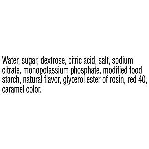 Gatorade Thirst Quencher, Fruit Punch, 20 Ounce Bottles (Pack of 12)