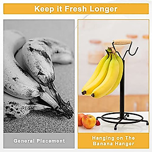 ETECHMART Banana Holder Stand，Modern Banana Hanger Tree with Double Hook Stable Fresh Fruit Grape Keeper For Kitchen Organizer Countertop Storage(Black)