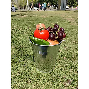 Firsgrill Grease Bucket & Liners Replacment Traeger, Z Grill, Green Mountain Pellet Wood Smoker(1, Siliver Bucket)