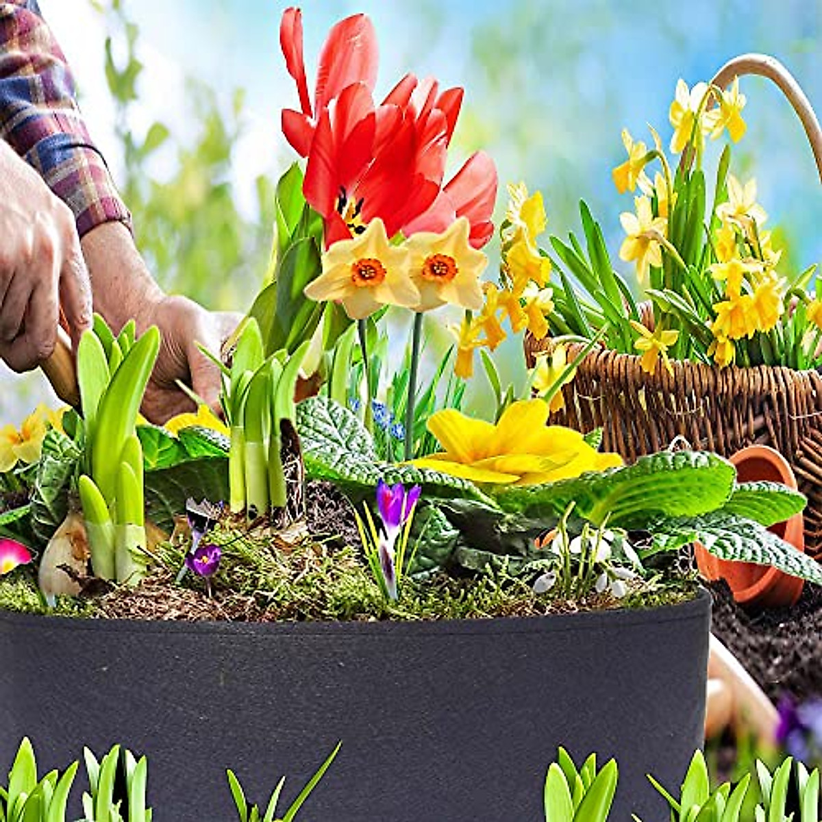 M MAIUS Potato Grow Bag, 15/50/100 Gallon Grow Bag Raised Garden Bed Bag Round Breathable Planting Grow Container for Potato Tomato Carrot