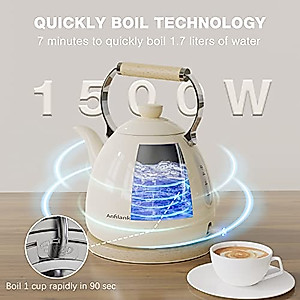 Anfilank-Boil Water Electric Kettle, 1.7L 1500W, Coffee & Tea Kettle Stainless Steel,Wood Grain Design, Removable Filter, Water Window, LED Light. 360° Rotation, Auto Shut-off & Boil-Dry Protection
