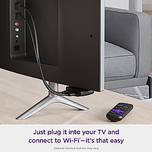 Roku Express HD Streaming Media Player with High Speed HDMI Cable and Simple Remote & Bundle Swanky Cables HDMI Cable