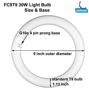 CHKADAWA FC9T9 9 inch Circline Light Bulbs T9 30W, FCL30 Circular Fluorescent Lamp Round 30 Watts Bulb Replacement for Ceiling Fan Fixture, Daylight DL 6500K, G10q 4 Pin Base, 2 Pack