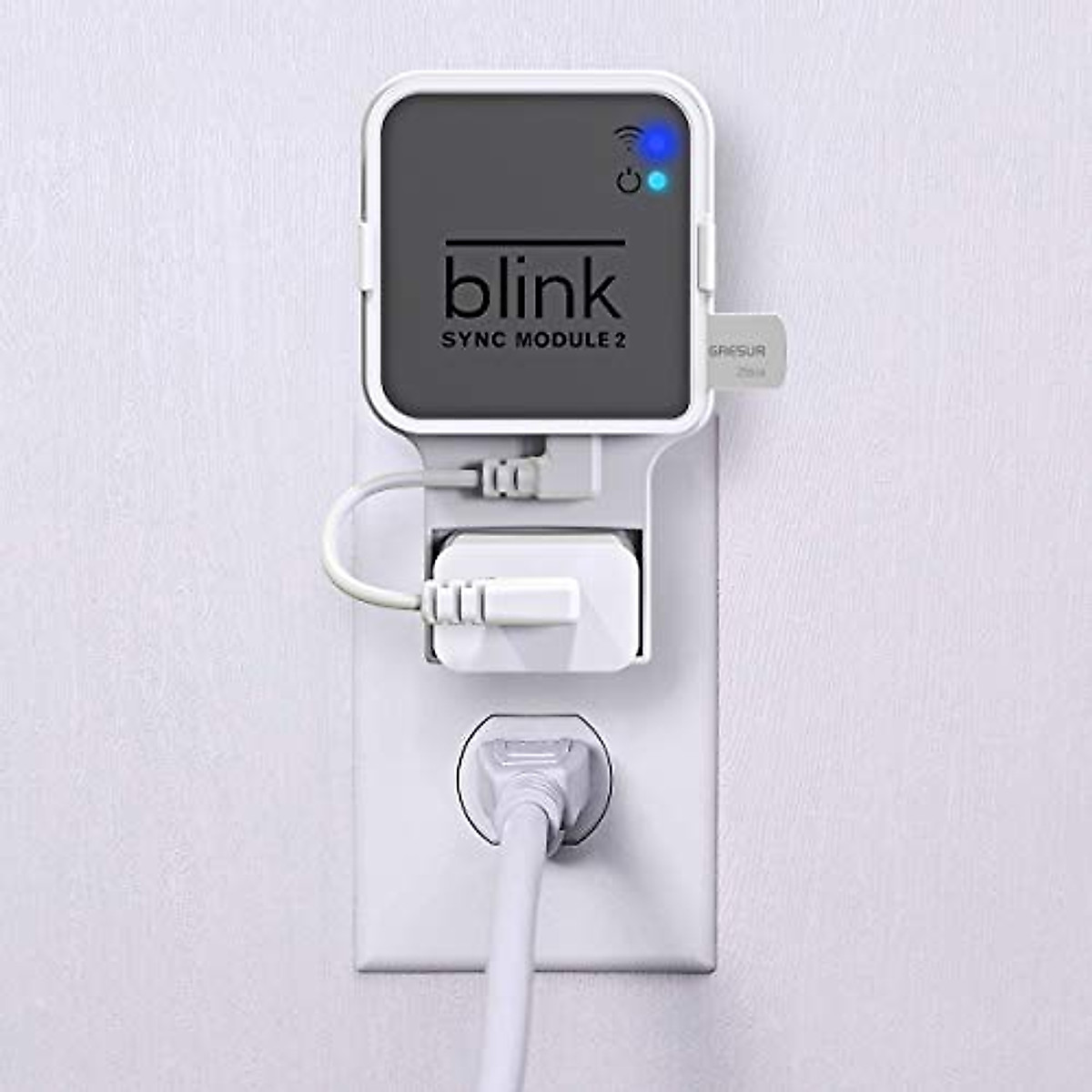 256GB Blink USB Flash Drive for Local Video Storage with The Blink Sync Module 2 Mount (Blink Add-On Sync Module 2 is NOT Included)…