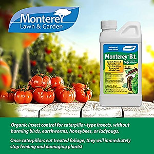 Monterey LG6332 Bacillus Thuringiensis (B.t.) Worm & Caterpillar Killer Insecticide/Pesticide Treatment Concentrate, 16 oz