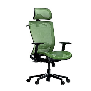 FLEXISPOT Office Chair Home Office Desk Chairs with Wheels Computer Chair with Lumbar Support Swivel Headrest Green