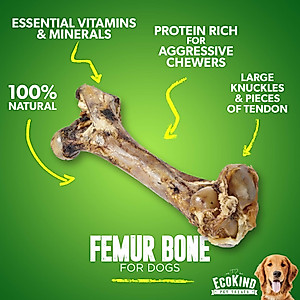 EcoKind Premium Giant Mastedon Femur Bone for Dogs | 1 Giant Bone | All Natural Femur Bone for Large Dogs and Aggressive Chewers