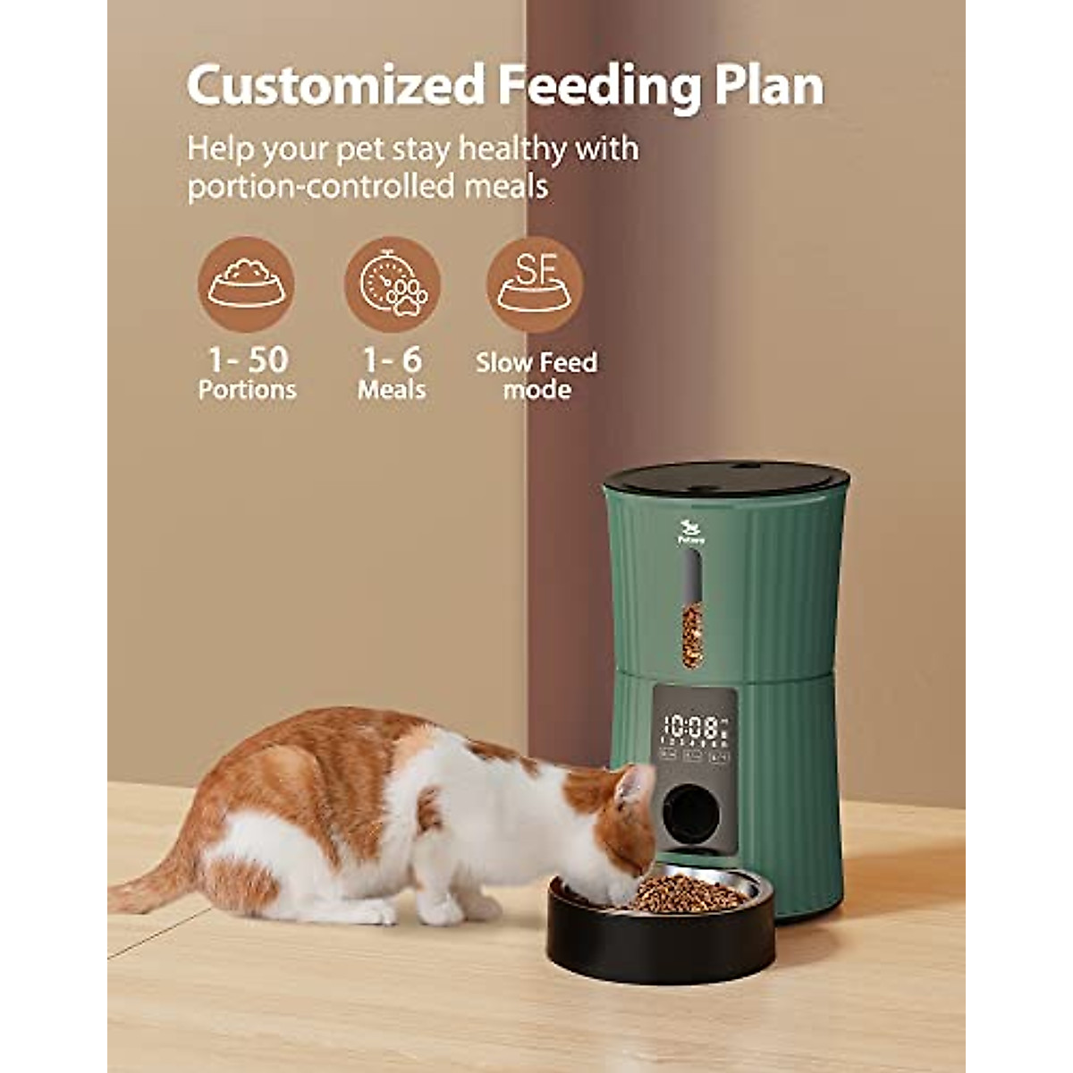 Petory Timed Automatic Cat Feeders - 4L Programable Dry Food Dispenser for Cats and Small Medium Dogs 6 Meals with Desiccant Bag Dual Power Supply 10S Voice Recorder