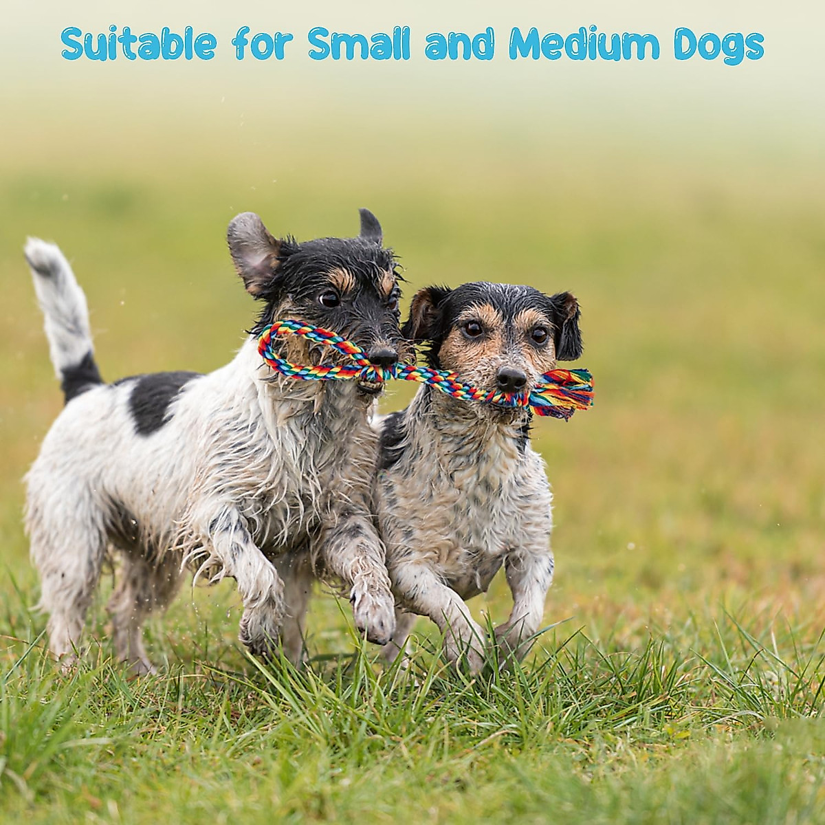 Depets Dog Rope Toy, 4PCS Assorted Puppy Chew Toy Pack, Durable Rope Knot Dog Toy, Puppy Teething Playing Toys for Small Dogs Puppies