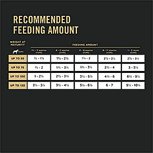 Purina Pro Plan Sensitive Skin and Stomach Large Breed Puppy Food with Probiotics, Salmon & Rice Formula - 24 lb. Bag