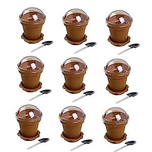 Healthcom 50 Packs 180ml Ice Cream Dessert Cup with Lids and Spoons 50 Sets Flower Pot Cups Mousse Cake Cups Salad Cup Dessert Bowls Jelly Pudding Yogurt Cup Snack Bowls Container for Party Wedding
