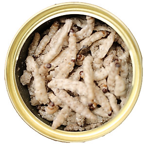 Canned Caterpillars (1.2 oz. 6 Pack) - Healthy High Protein Insect Treat - Hedgehogs, Sugar Gliders, Reptiles, Wild Birds, Chickens, Lizards, Bearded Dragons, Skunks, Opossums, Fish, Amphibians