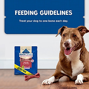 Blue Buffalo Dental Bones Regular Natural Dental Chew Dog Treats Bag Jumbo Pack