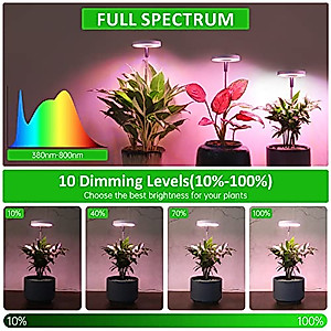 Grow Lights for Indoor Plants, Romsto LED Full Spectrum Plant Light for Indoor Plants, Height Adjustable Grow Light with 10 Dimmable Brightness, 8/12/16H On/Off Timer, Ideal for Small Plants