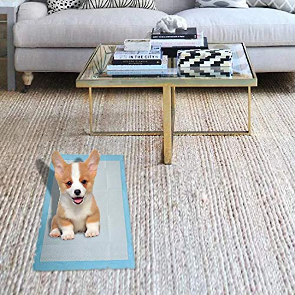 PINVNBY Disposable Rabbit Pee Pads,Puppy Toilet/Potty Training Pads, Super Absorbent Cats Cage Liners for Rabbits Chinchillas Guinea Pigs Hamsters Cat Small Animals(50 PCS Blue)