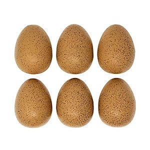 Yellow Door YUS1087 Sensory Sound Eggs, Kindergarten Grade to 3 Grade,Brown