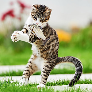 7.8 inch Simulation Fish Plush Toy Soft Fish Decorate Pillow Grass Carp Plush Pillow Stuffed Toy for Home Decoration Kids Pillow Stuffed Animal Toy