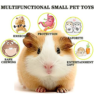 Syhemtya Chinchilla Toys Hamster Chew Toys Guinea Pig Toys Rat Toys Hamster Cage Accessories Small Animal Teeth Care Apple Wooden Accessories Set,Ball Ladder Bridge Swing Roller for Playground