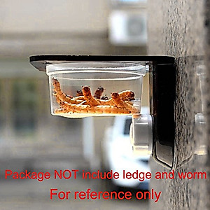 SLSON 100 Pack Gecko Food and Water Cups Gecko Ledge Cups Reptile Worm Bowl Mealworm Feed Feeder for Lizard Leopard Gecko Crested Gecko and Other Small Pets, 1 Oz