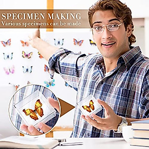 14 Pieces Insect Specimen Tools Kit Insect Display Case Box with Clear Top 8 Sheets Thin Tracing Paper Butterfly Mounting EVA Foam Pinning Board Pins 3 Pcs Insect Specimen Tools for Bugs Collection