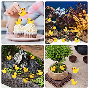 JIUZHU 220 Pcs Mini Resin Duck Christmas Miniature Figure Landscape Aquarium DIY Birthday Party Decoration Bonsai Interior Decoration Fairy Hide and Seek Prank