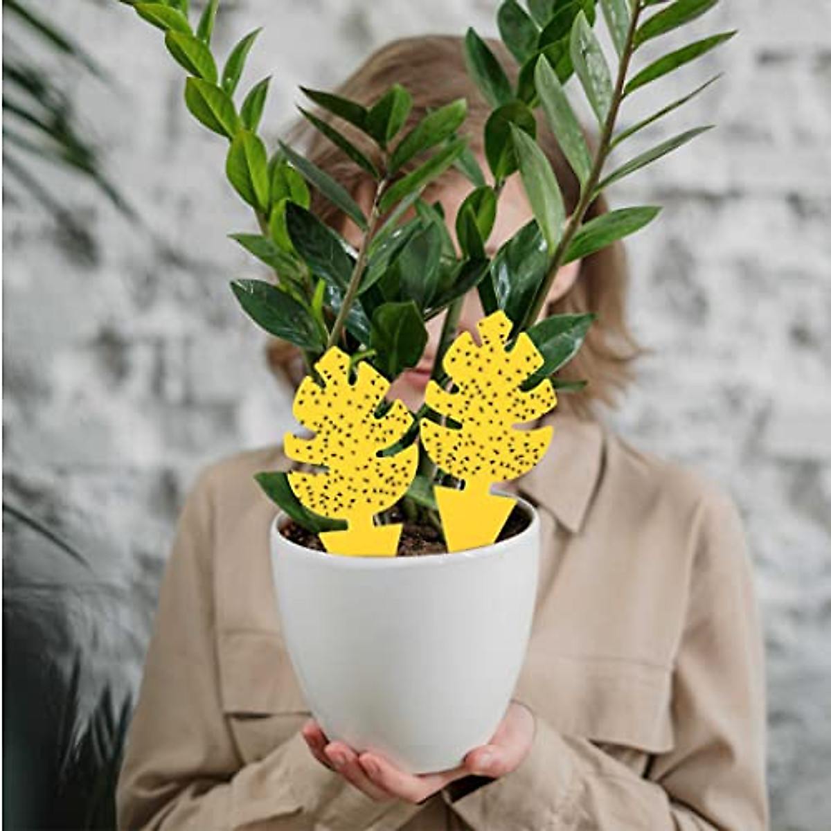 30 Pcs Yellow Sticky Trap for Indoor Gnats Dual Sided by Grow Margo - Fruit Fly Traps for Indoors - Plant Sticky Traps for Gnats - Plant Gnat Stix - Plant Fly Sticky Trap Sticks