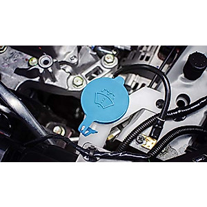 AutoZone Summer Windshield Washer Fluid, Removes dirt, Safe for the environment, Removes grime + 32°F, 1 Gallon