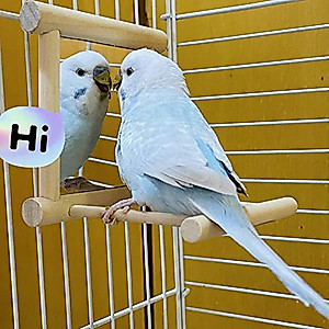 Bird Toy for Parrot Parakeets Conures Cockatiels Cage Swing Wooden Mirror Fun Play Toy for Birds