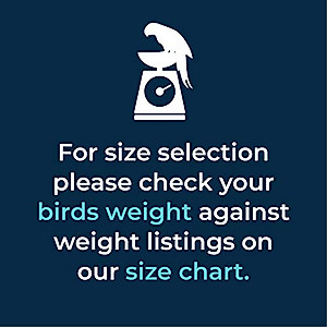 BEV’s Bird Boutique - Cherries (Flyper Mini) (9.5)