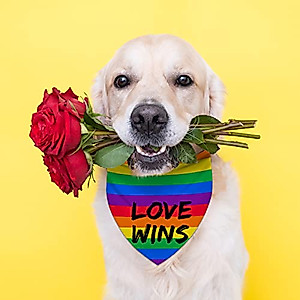 Love Wins Dog Bandana LGBT Rainbow Dog Scarf Pride Day Adjustable Accessories for Small Medium Dogs Cats Pets