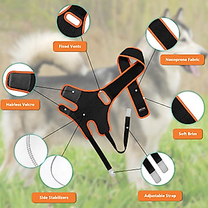 Dog Knee Brace Leg Braces with Side Stabilizers for Dogs Support for Torn ACL CCL Hind Leg, Knee Cap Dislocation, Cruciate Ligament Injuries, Patella Dislocation or Osteoarthritis （L）