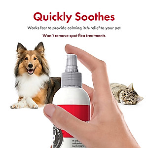 Petkin Hemp Anti Itch Spray for Dogs and Cats – with Hemp Oil & Calming Lavender Extract, 8 fl oz – Reduce Itching, Hot Spots and Skin Irritation – Soothes, Calms & Conditions