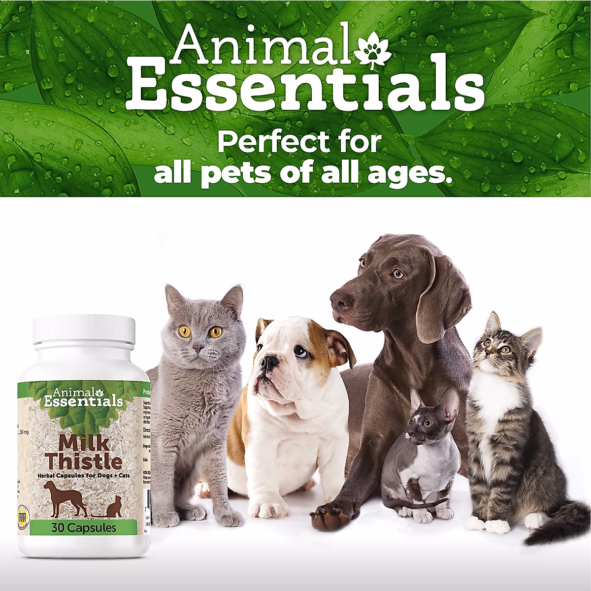 Animal Essentials Milk Thistle Liver Support for Dogs and Cats, 30 Capsules - Made in USA Liver Supplement