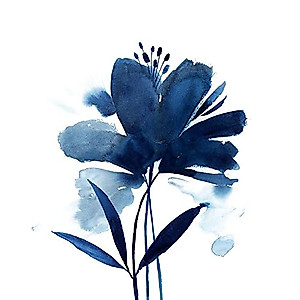 ArtDirect Blazing Bloom II 15x18 Gallery Wrapped Canvas Museum Art by Popp, Grace