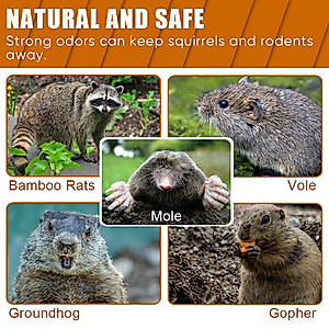 SEEKBIT 2 Pack Rodent Repellent Cream for Car Engines to Keep Mice Out, Mouse Repellent Deterrent Peppermint Oil to Repelling Mice and Rats, Rat Repellent Perfect for Home Garages RV Closets Trucks